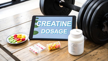 Your Guide to Creatine Calculator Dosage – Smash.com
